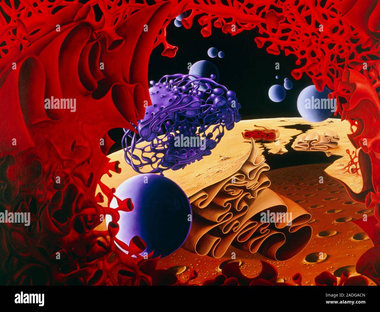 Inside a cell. Panoramic view from inside an imaginary cell. The ...