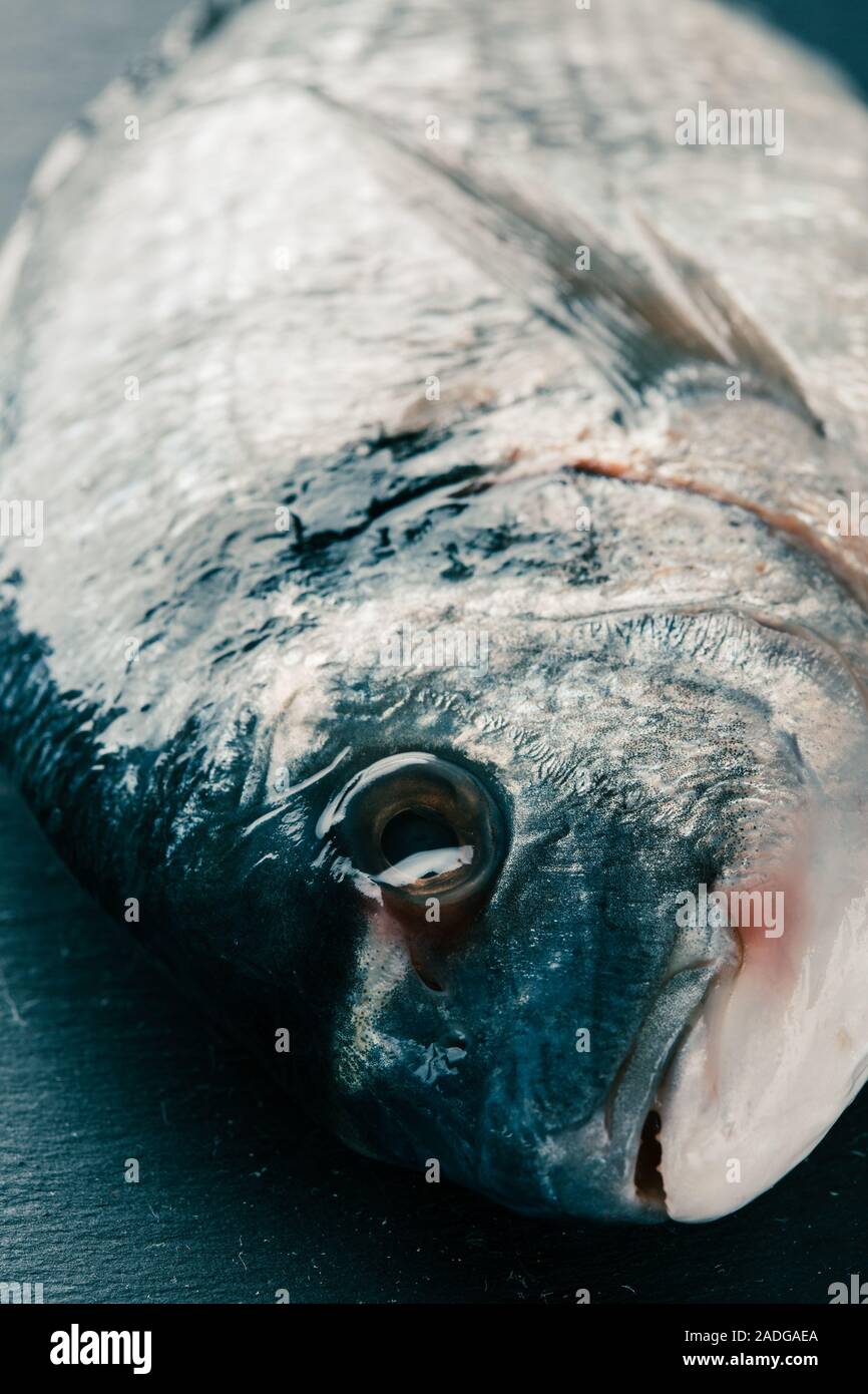 Shiny body hi-res stock photography and images - Alamy