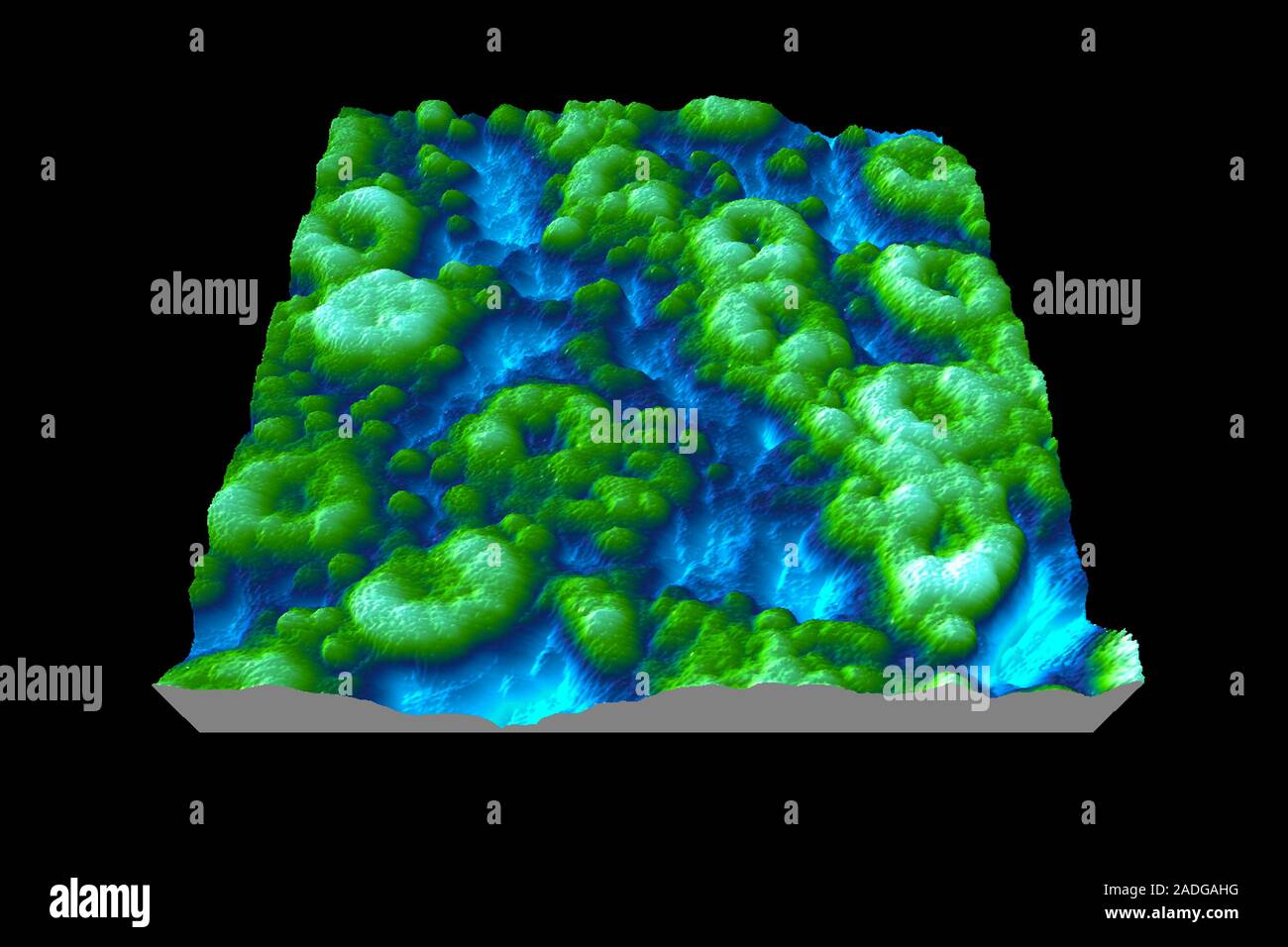 Nuclear Pore Complexes Coloured Atomic Force Micrograph Afm Of The