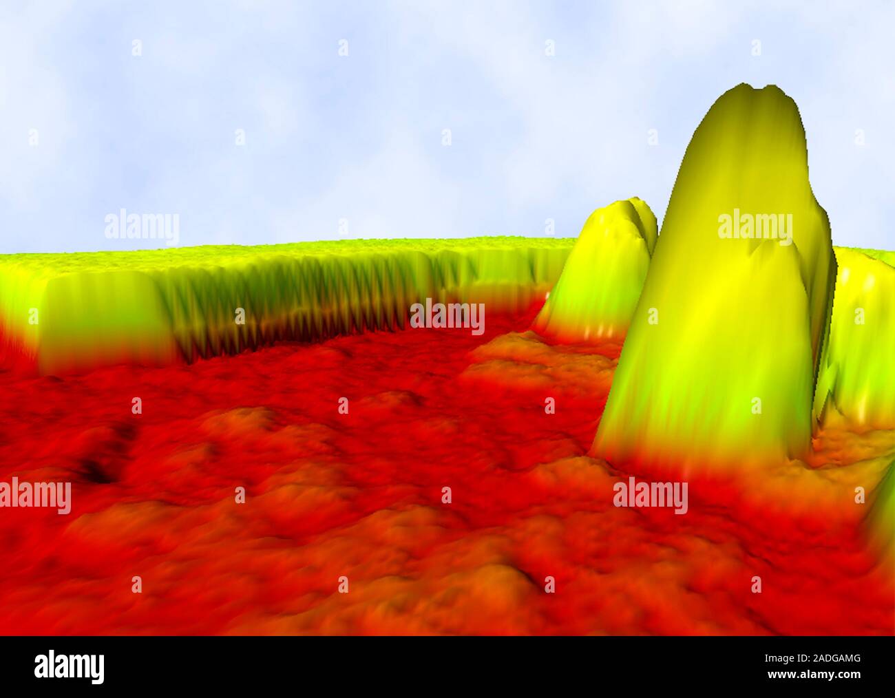 Plasma membrane. Coloured atomic force micrograph (AFM) showing a lipid ...