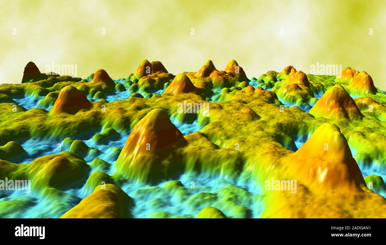 Plasma membrane proteins. Coloured atomic force micrograph (AFM ...