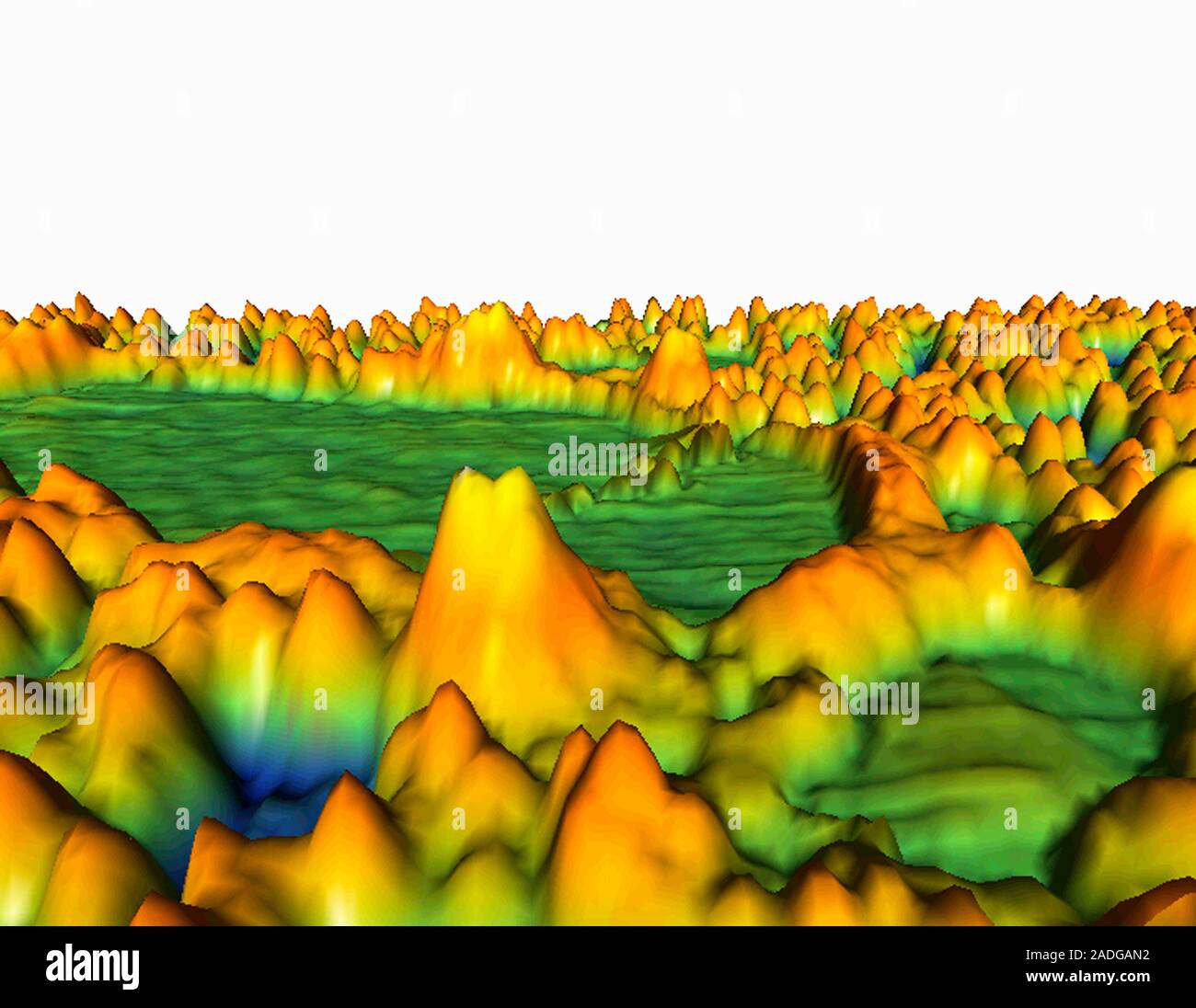 Plasma membrane proteins. Coloured atomic force micrograph (AFM ...