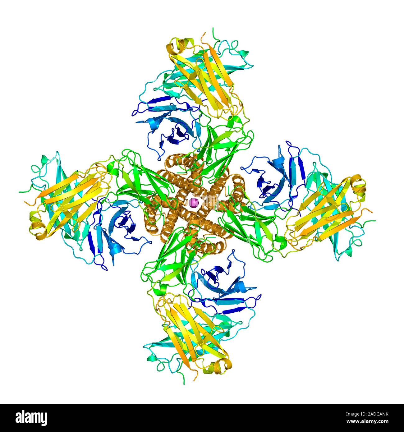 Potassium channel research. Molecular model of the molecular structure ...