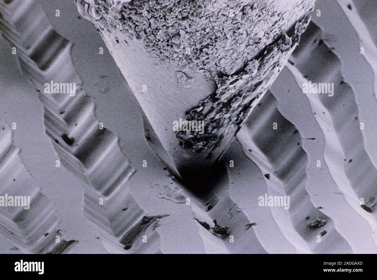 Scanning electron micrograph of a diamond stylus travelling through the ...