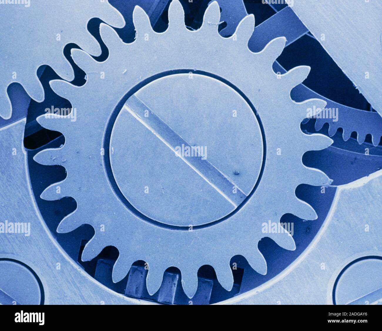 False-colour scanning electron micrograph of the crown wheel of a Swiss ...