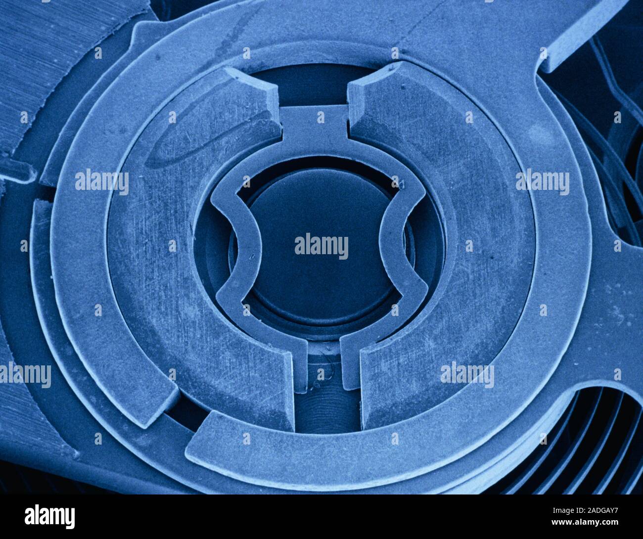 False colour scanning electron micrograph (SEM) of the movement of a ...