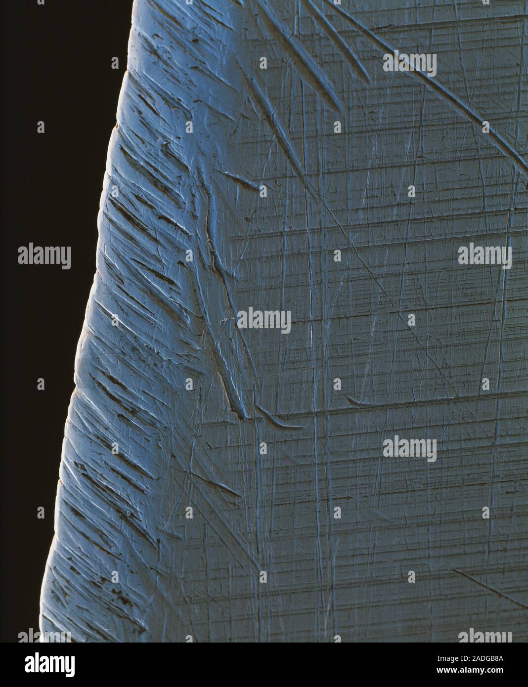 Knife. Coloured scanning electron micrograph (SEM) of the blade of a ...
