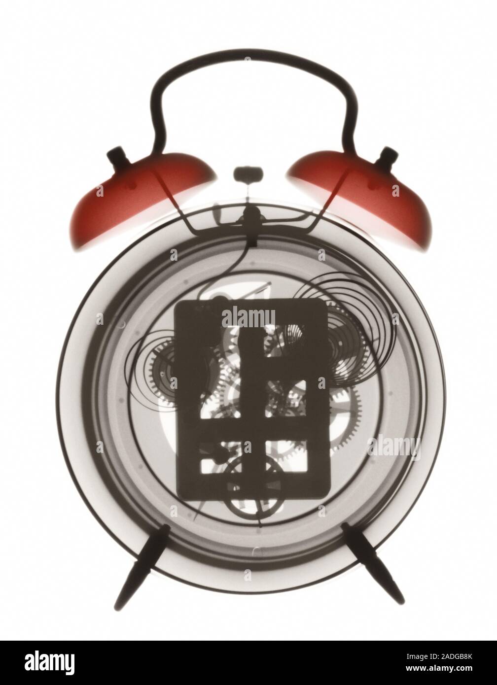 Alarm clock. Coloured X-ray of a wind-up alarm clock showing its ...