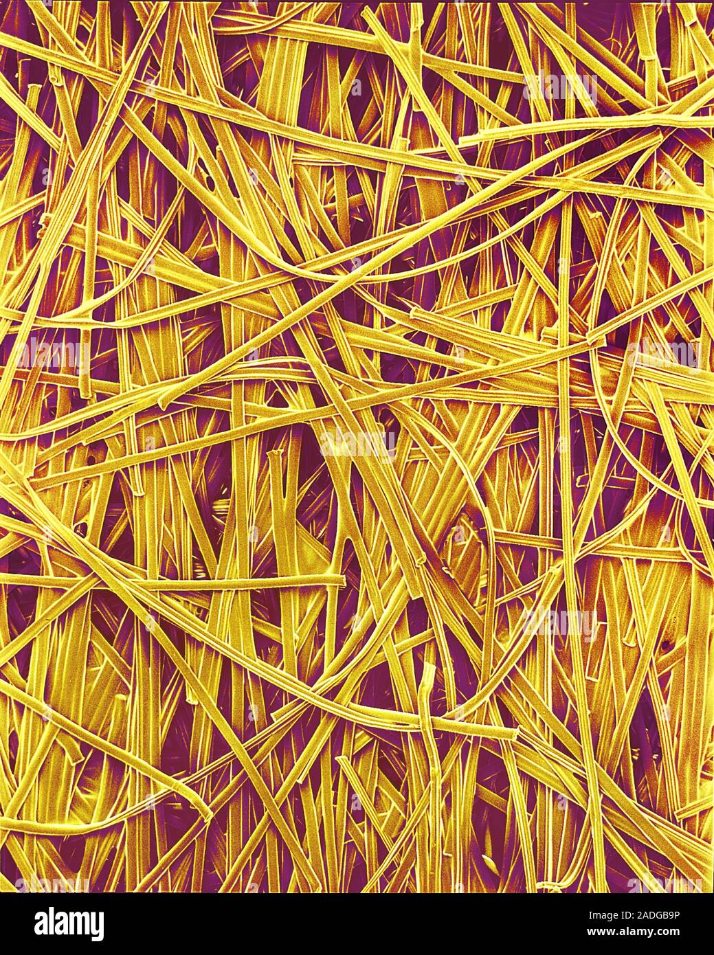 Paper fibres. Coloured scanning electron micrograph (SEM) of a mesh of ... Paper fibres. Coloured scanning electron micrograph (SEM) of a mesh of ...