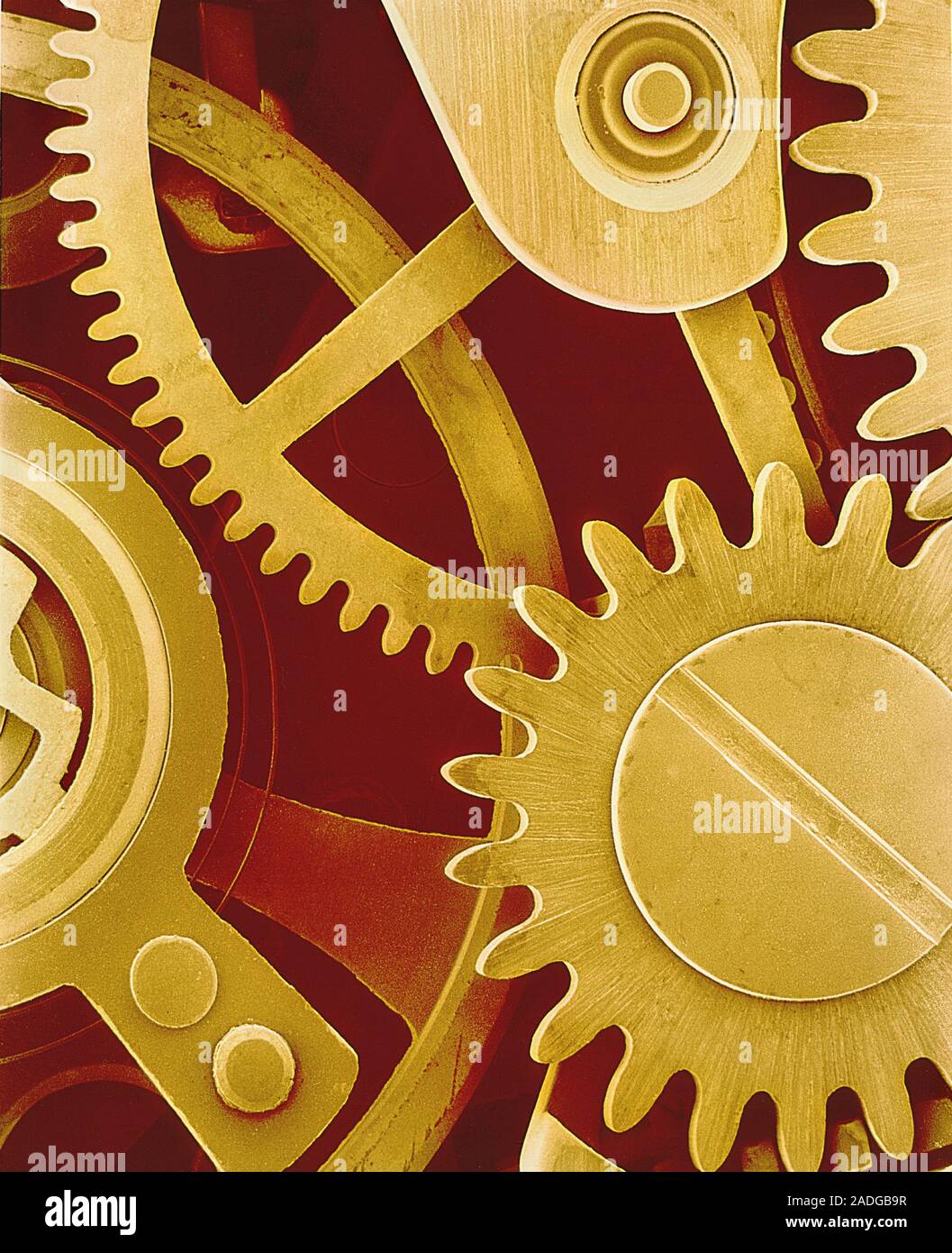 Watch gears. Coloured scanning electron micrograph (SEM) of the ...