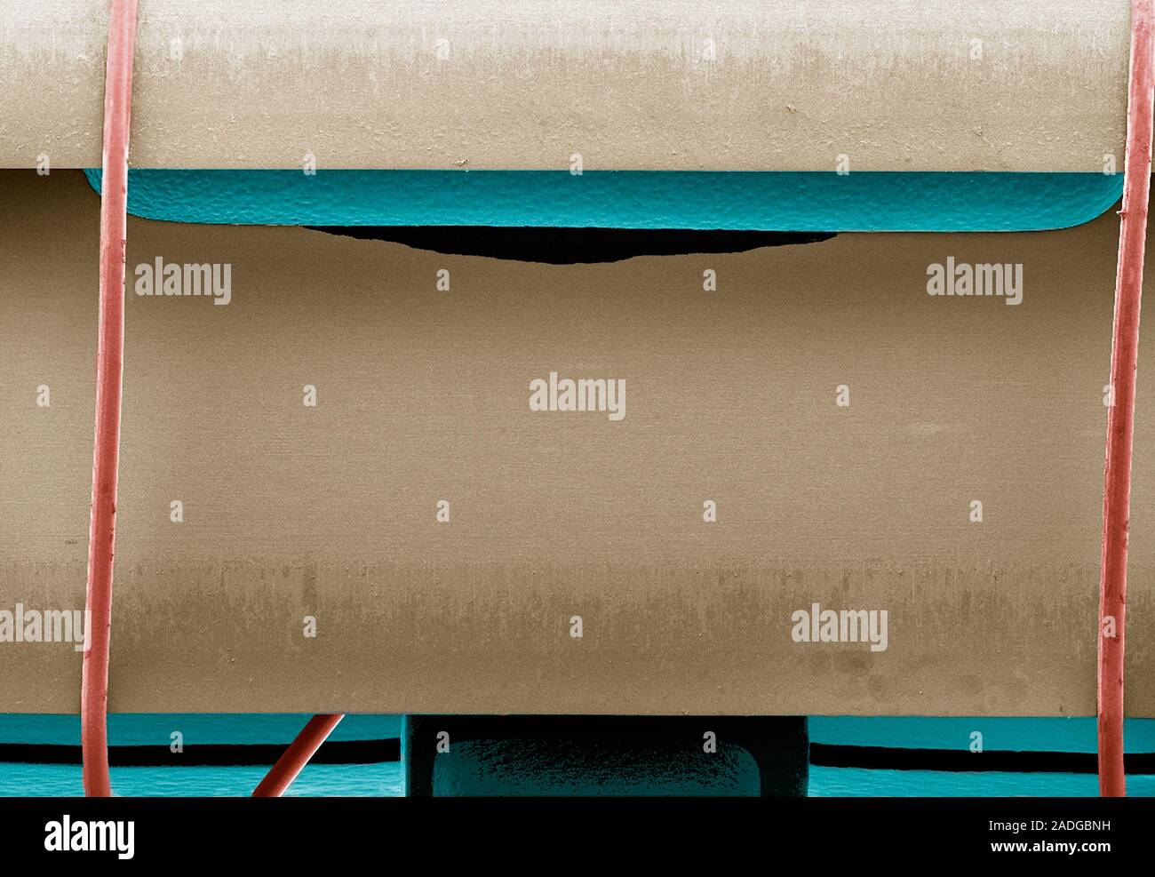 Multi-blade razor. Coloured scanning electron micrograph (SEM) of ...