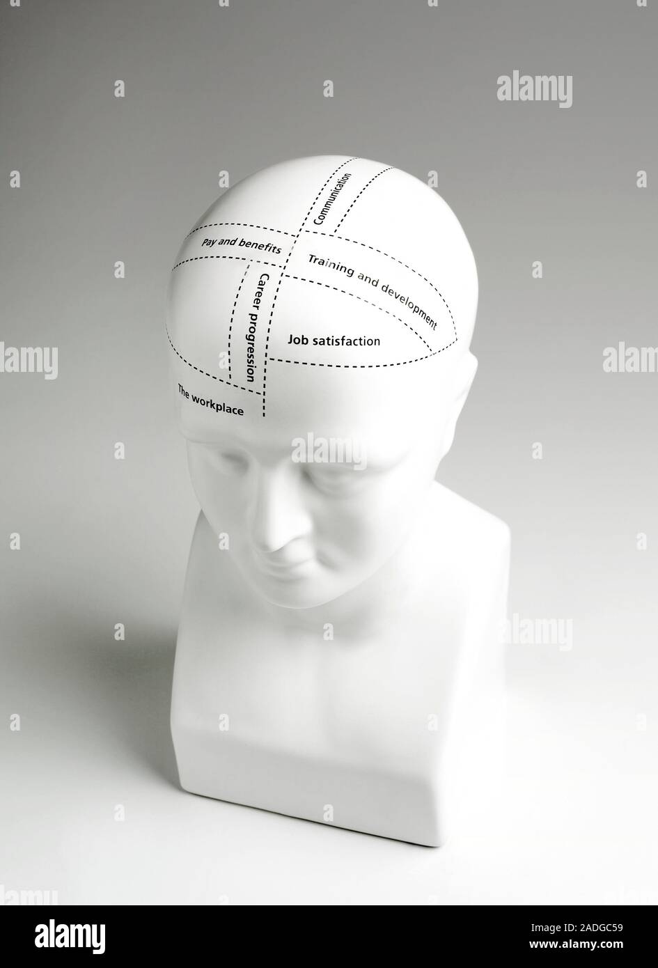 Happiness at work. Model of a human head inscribed with the different ...