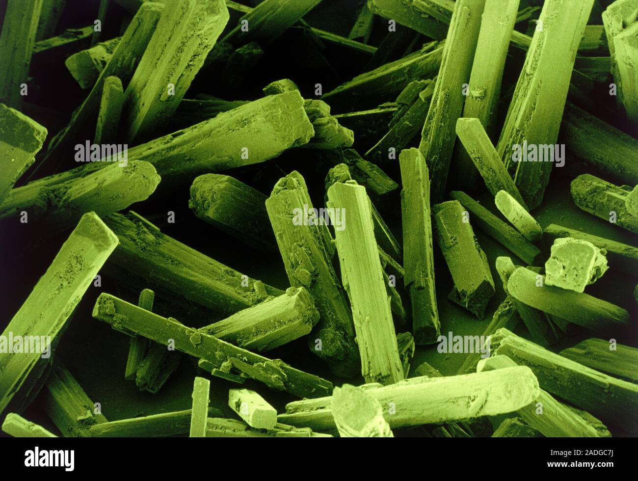 False-colour scanning electron micrograph (SEM) of crystals of ...