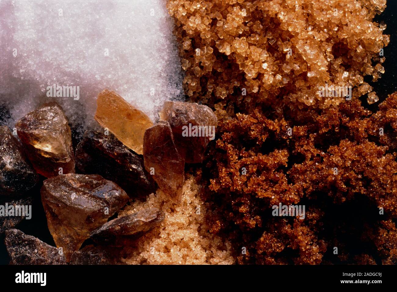 An assortment of different types of sugar. Reading clockwise from the ...