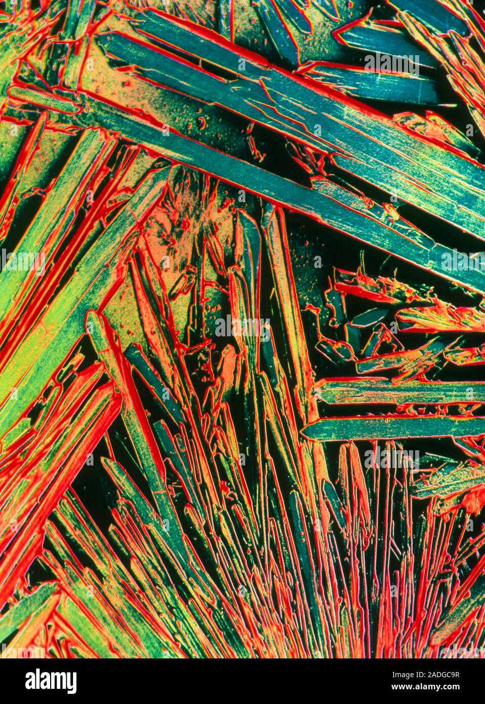 False-colour scanning electron micrograph of crystals of pure saccharin ...