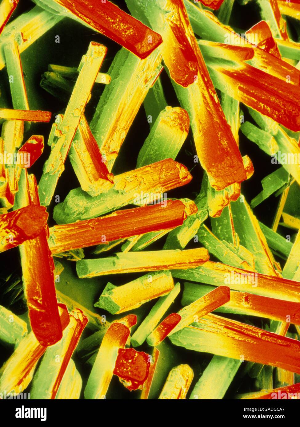 False-colour scanning electron micrograph of crystals of monosodium ...