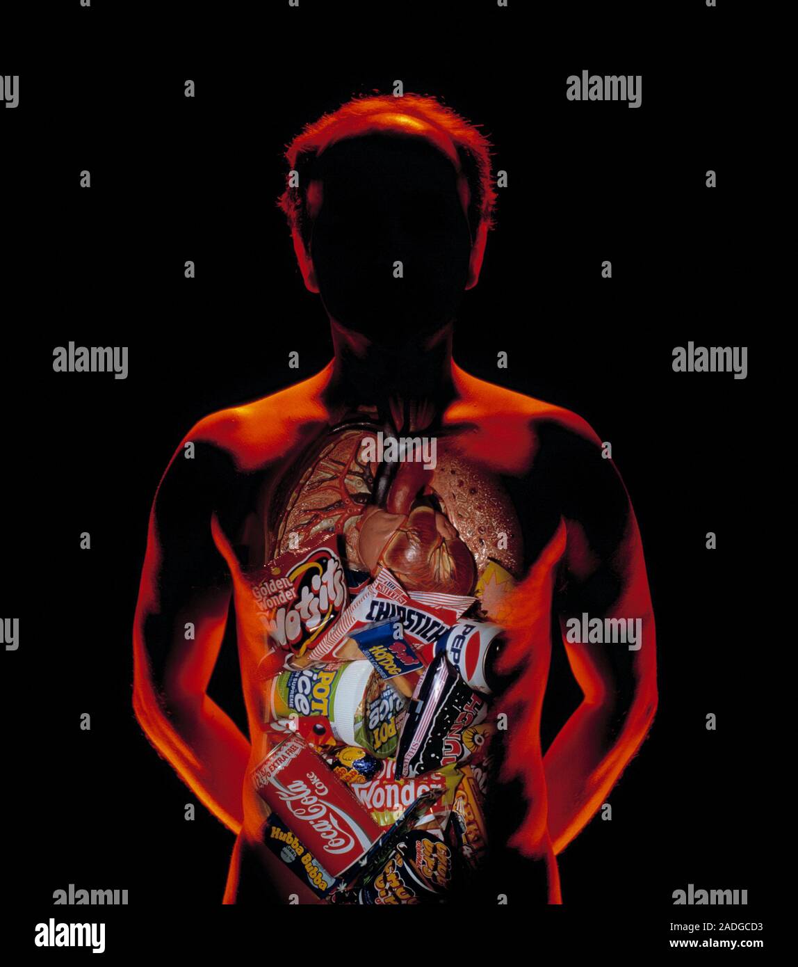 Junk Food: abstract cutaway human figure revealing model viscera and a ...