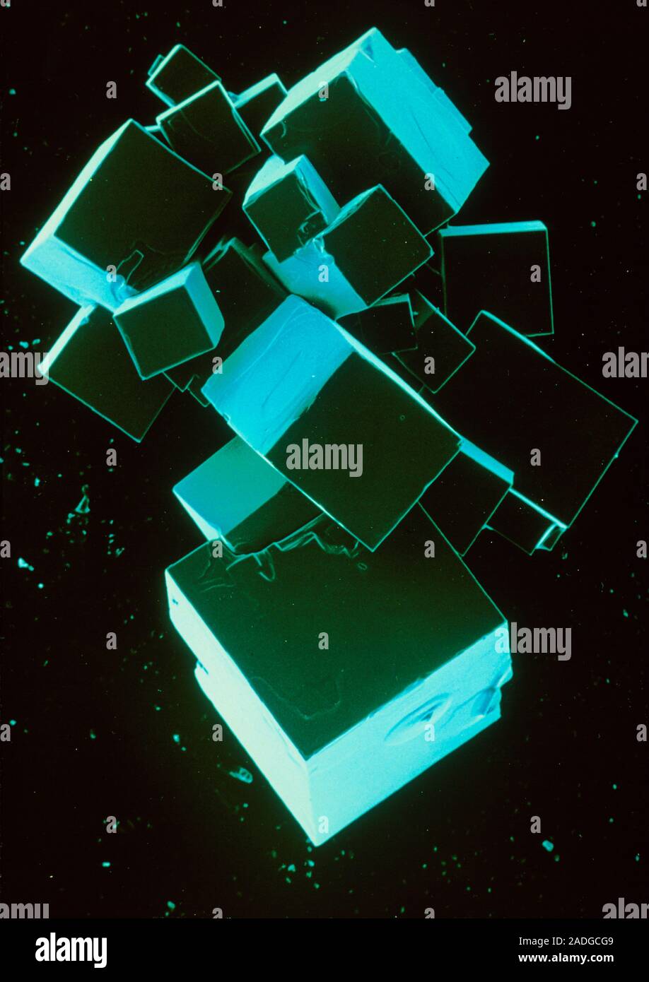 Scanning electron micrograph (SEM) of cubic crystals of BDH Analar ...