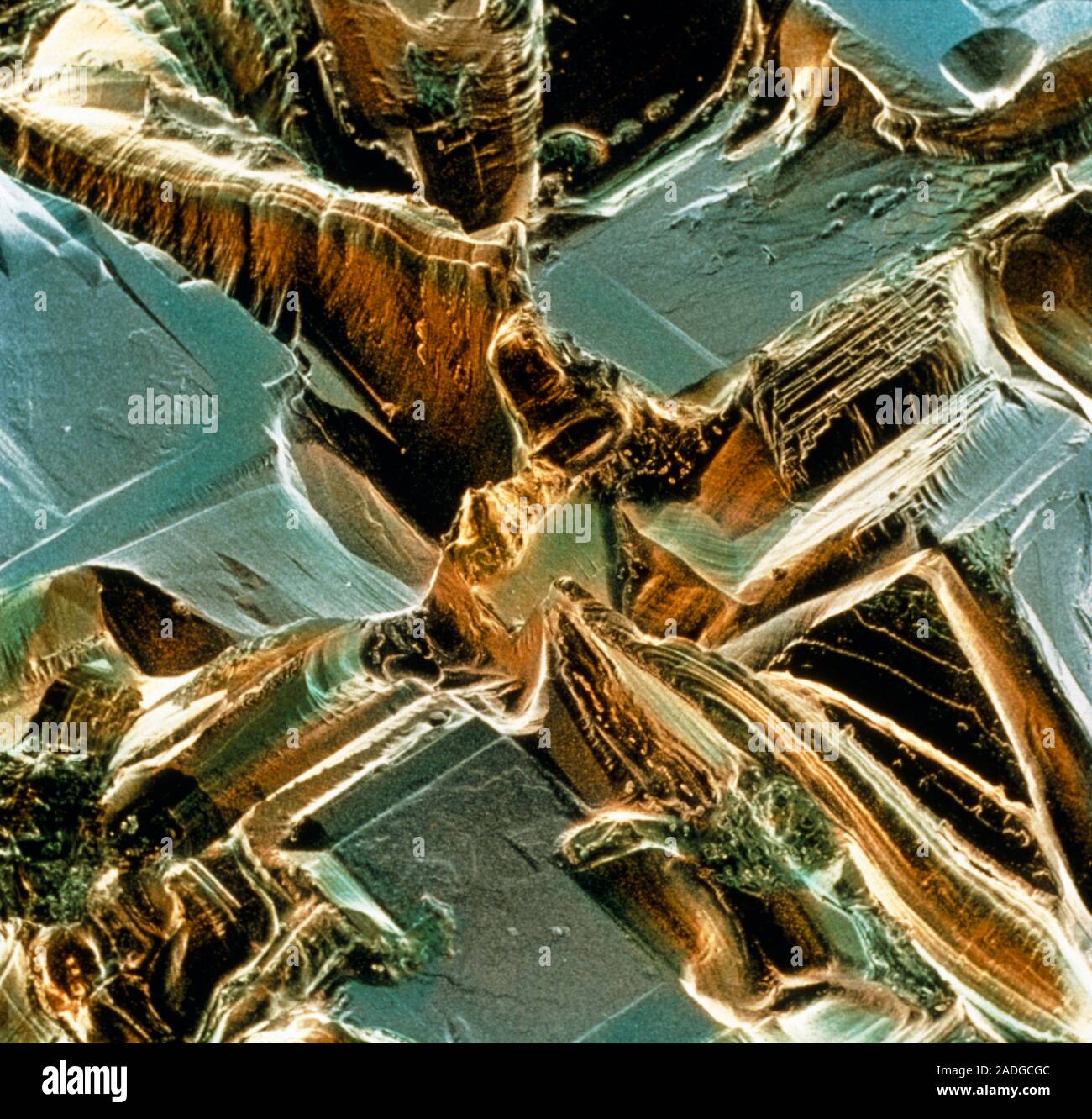 False colour scanning electron micrograph (SEM) of sea salt crystals ...
