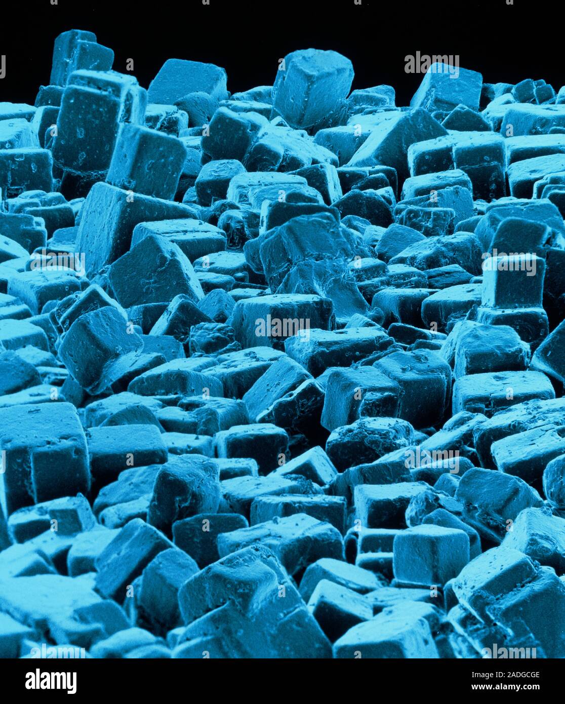 Coloured scanning electron micrograph (SEM) of common table salt ...