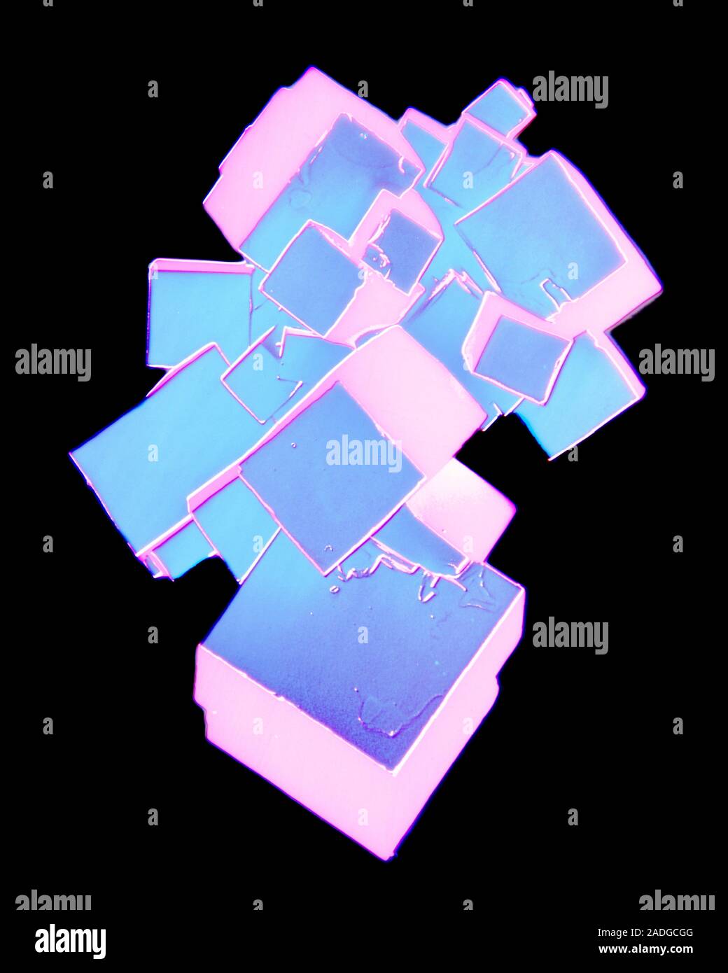 Salt. False colour scanning electron micrograph of BDH Analar sodium ...