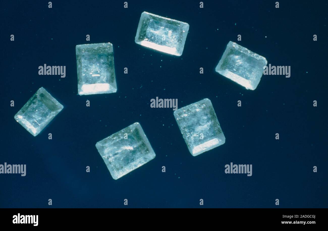Light micrograph of a number of sugar crystals. Table sugar consists of ...