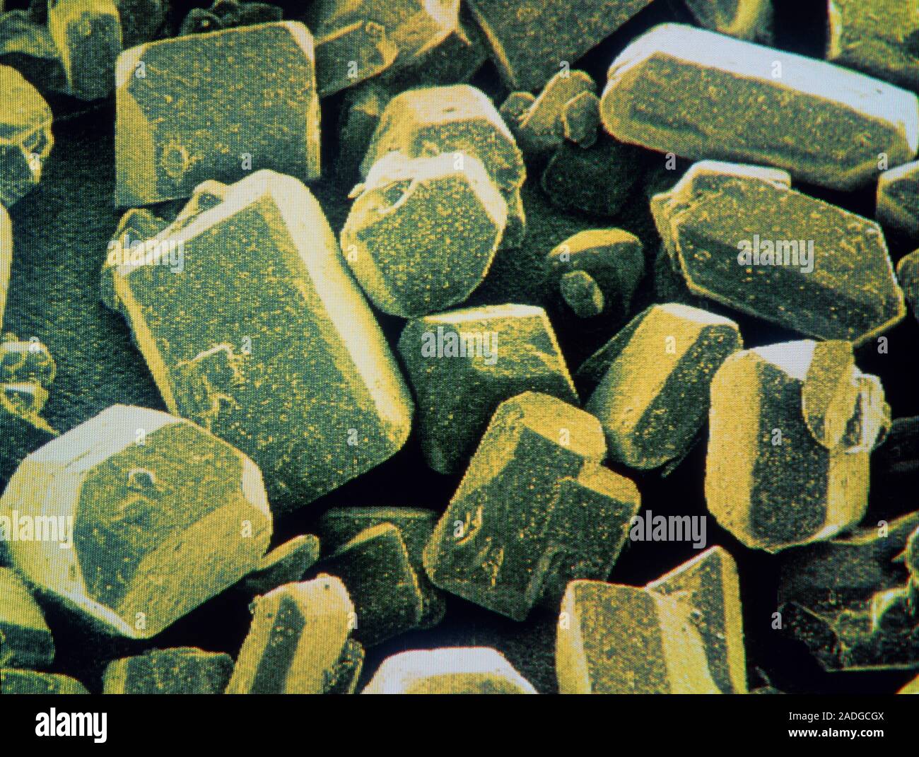 Sugar crystals. Coloured scanning electron micrograph (SEM) of crystals ...