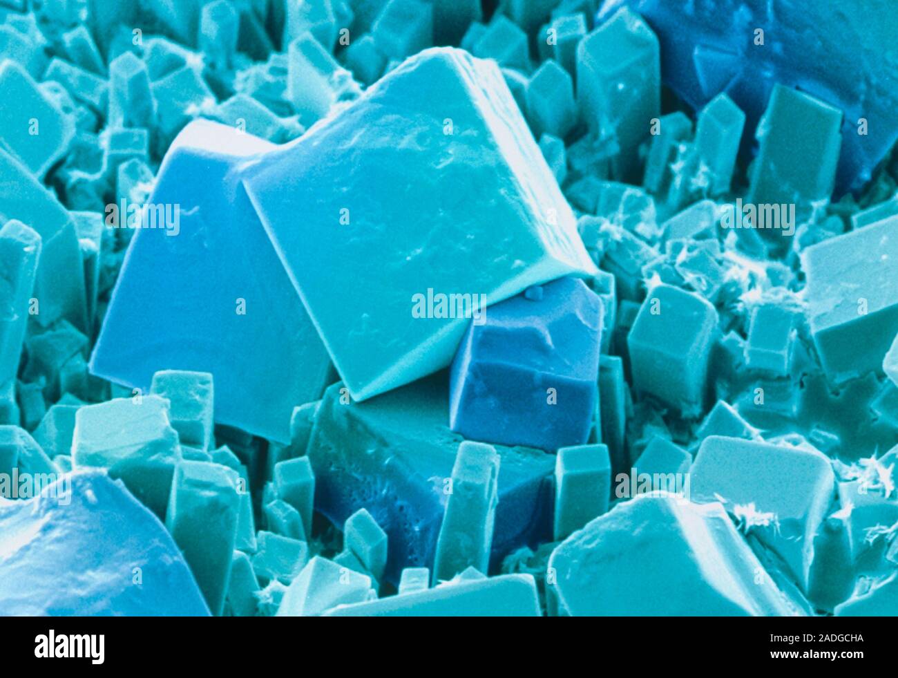Salt. Coloured scanning electron micrograph (SEM) of common salt ...