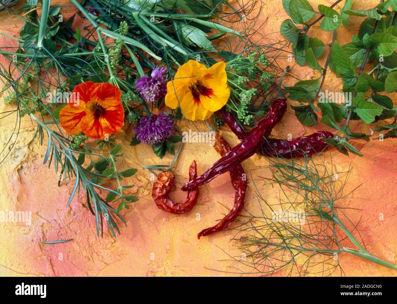 Herbs and spices. Bunch of assorted herbs and spices. At centre are ...