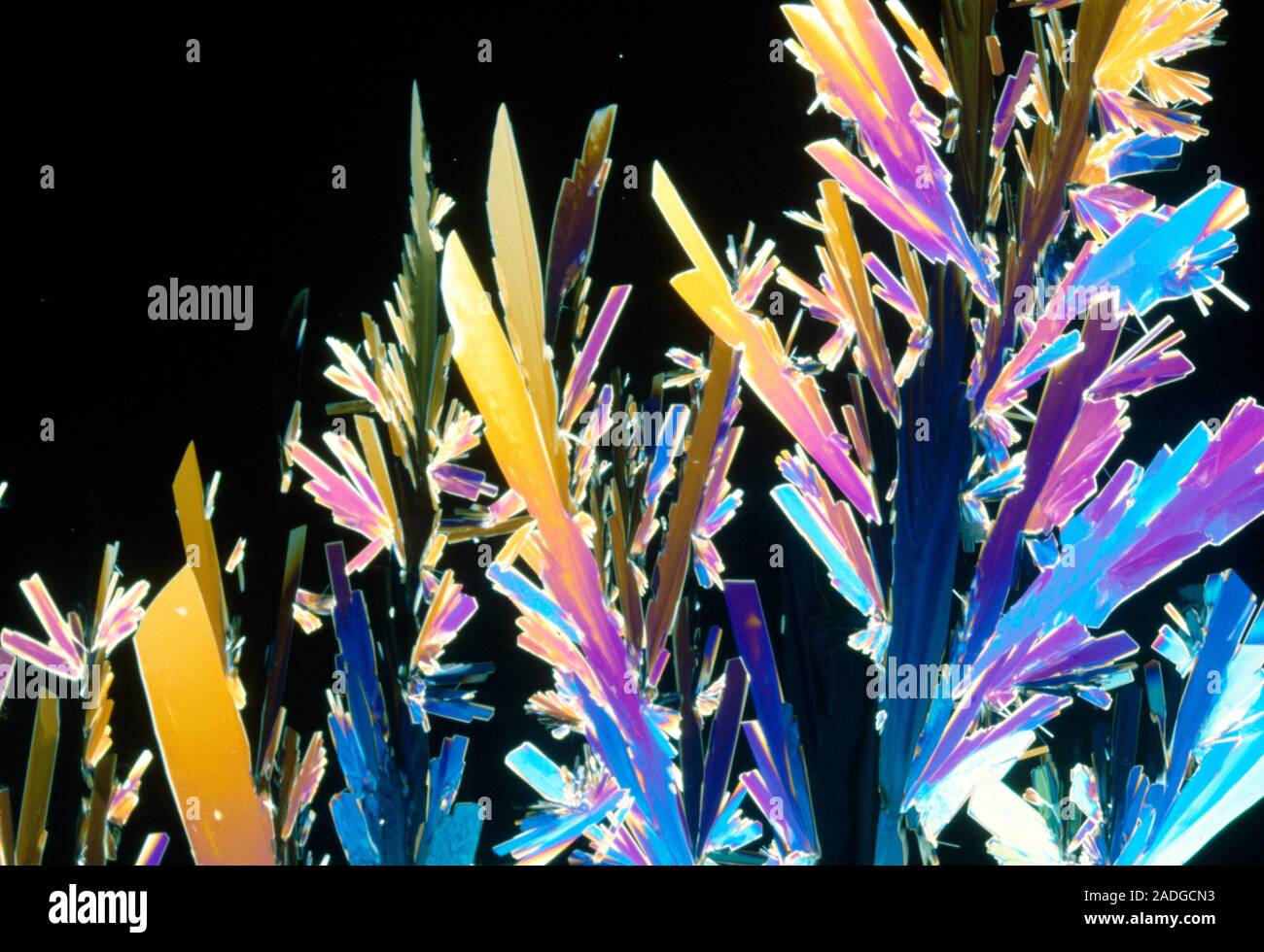 Dextrose. Polarised light micrograph of dextrose (glucose) sugar ...