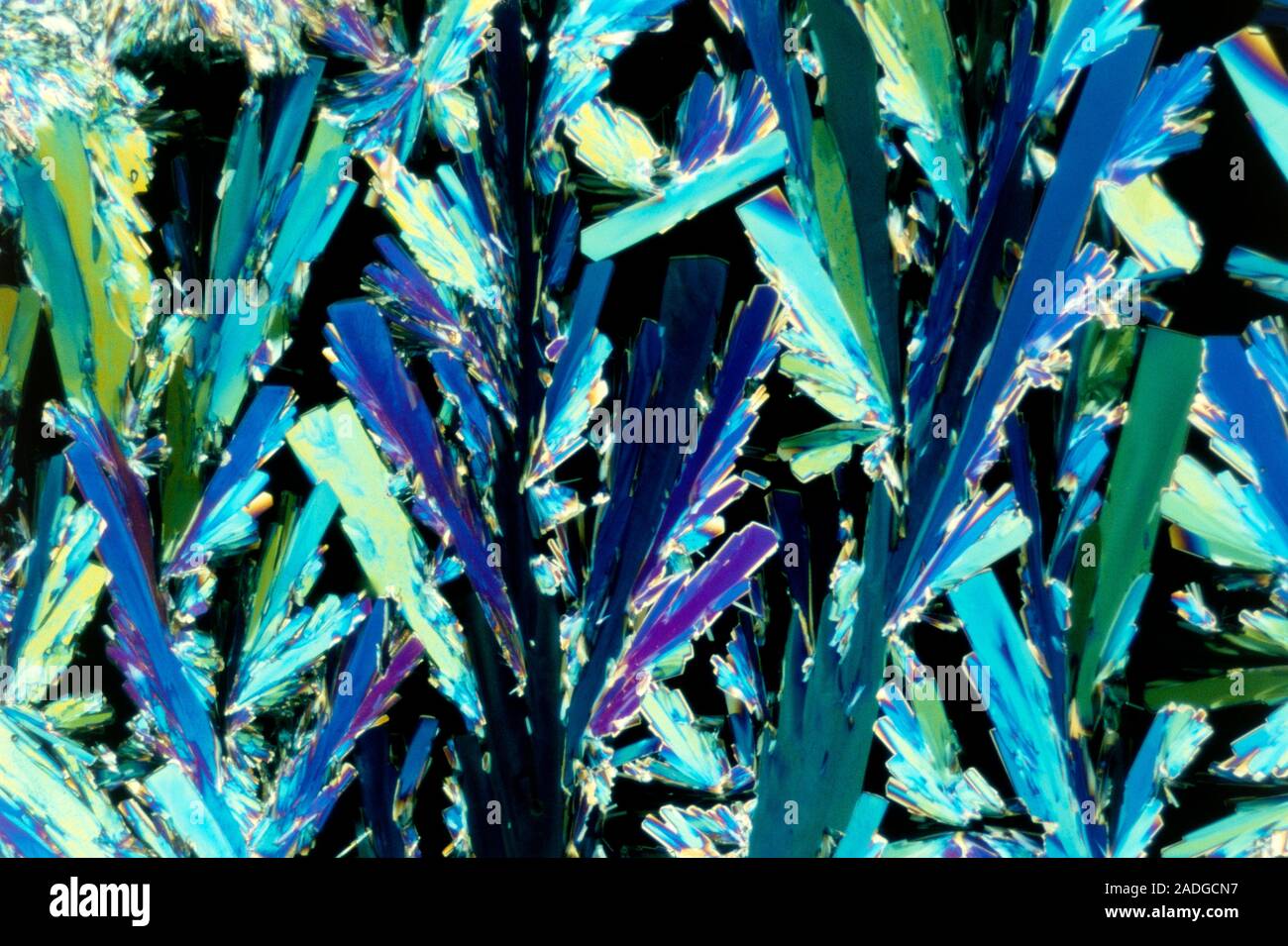 Glucose. Polarised light micrograph of dextrose (glucose) sugar ...