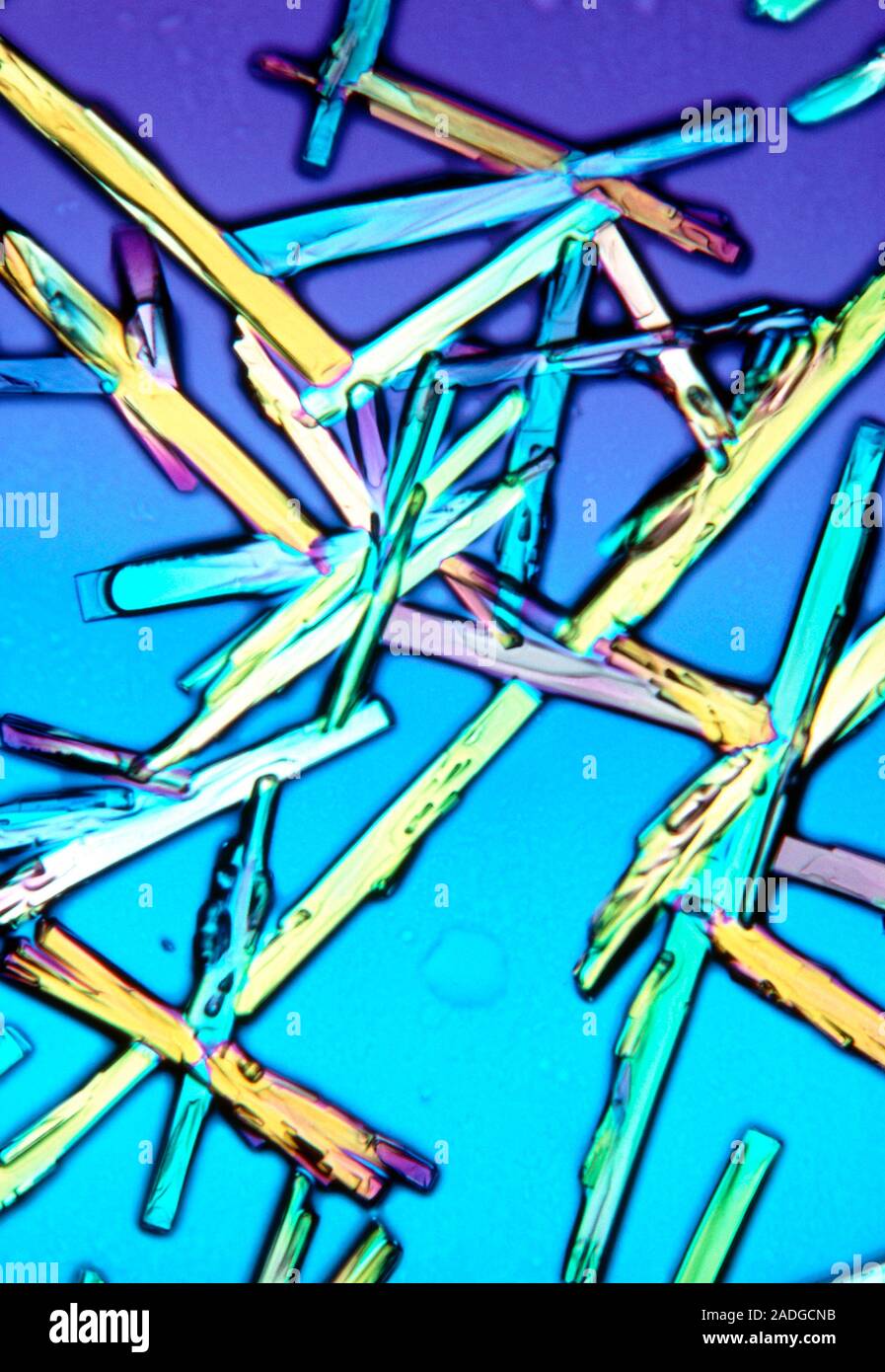 Glucose. Polarised light micrograph of crystals of glucose sugar ...