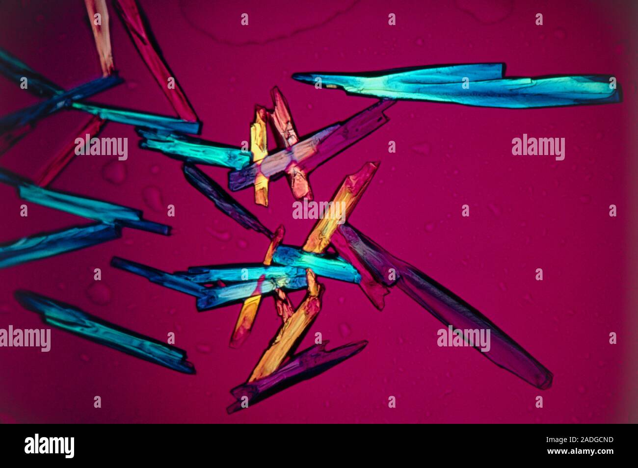 Glucose. Polarised light micrograph of crystals of glucose sugar ...