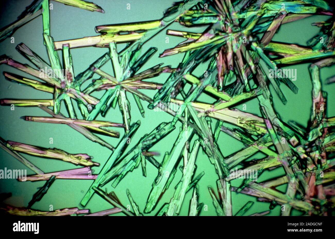 Glucose. Polarised light micrograph of crystals of glucose sugar ...