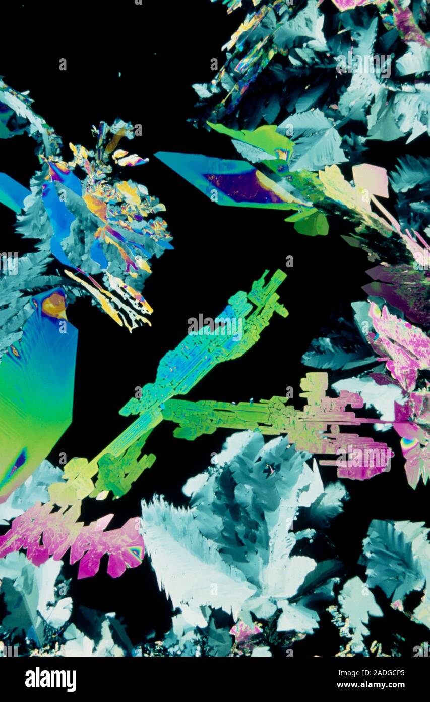 Saccharin sweetener. Polarised light micrograph of saccharin crystals ...