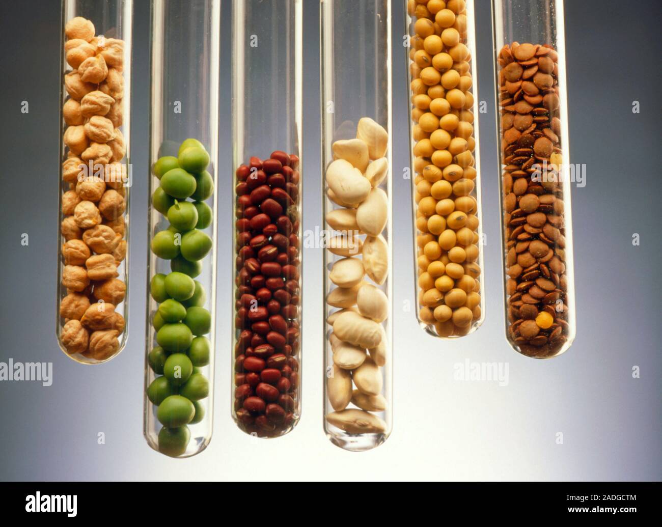 Pulses. Selection of different pulses presented in test tubes to depict ...
