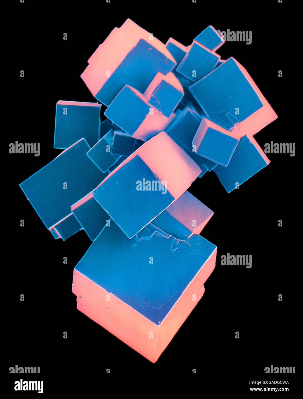 Salt. Coloured scanning electron micrograph (SEM) of pure salt (BDH ...