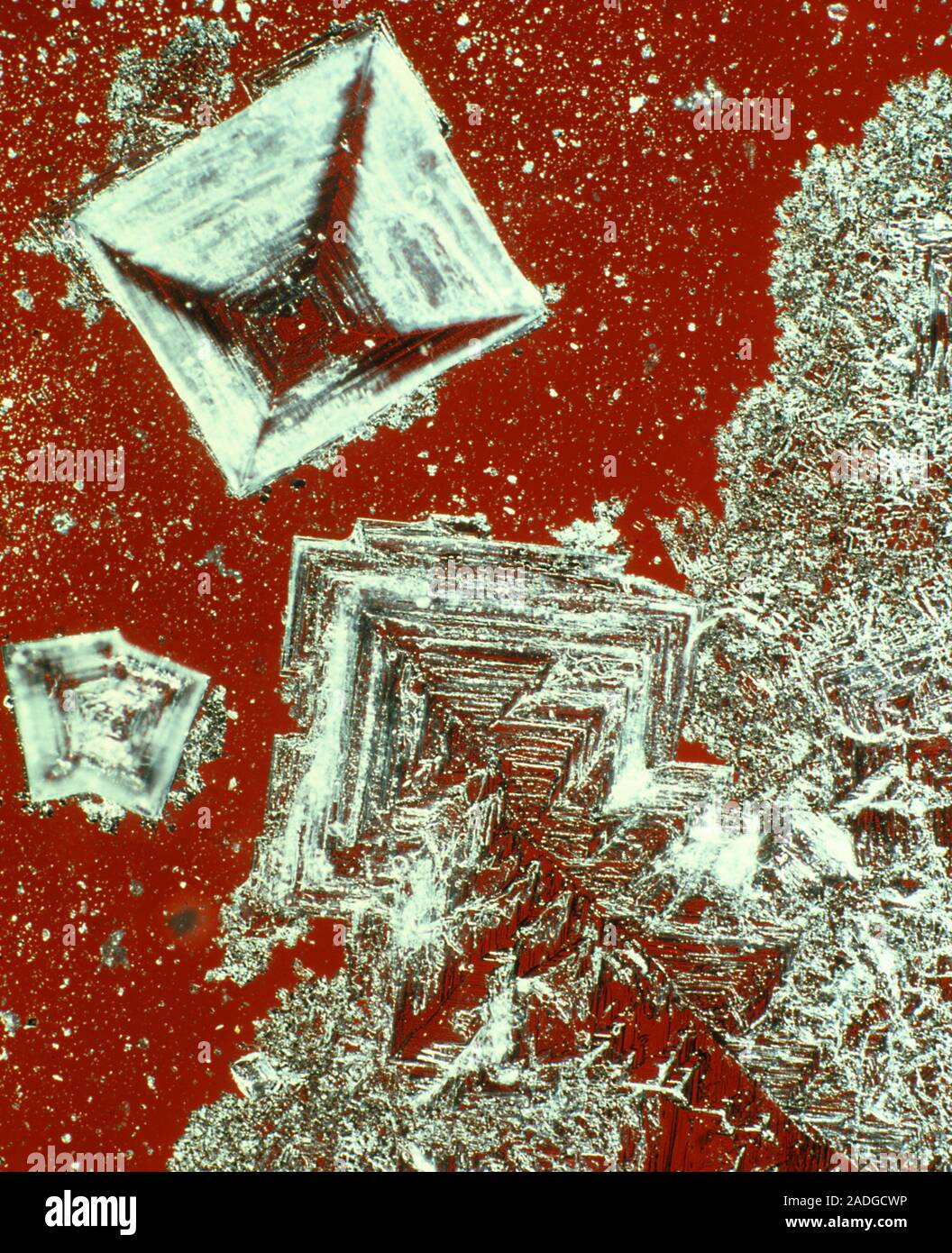 Salt. Polarised light micrograph of crystals of salt (sodium chloride ...