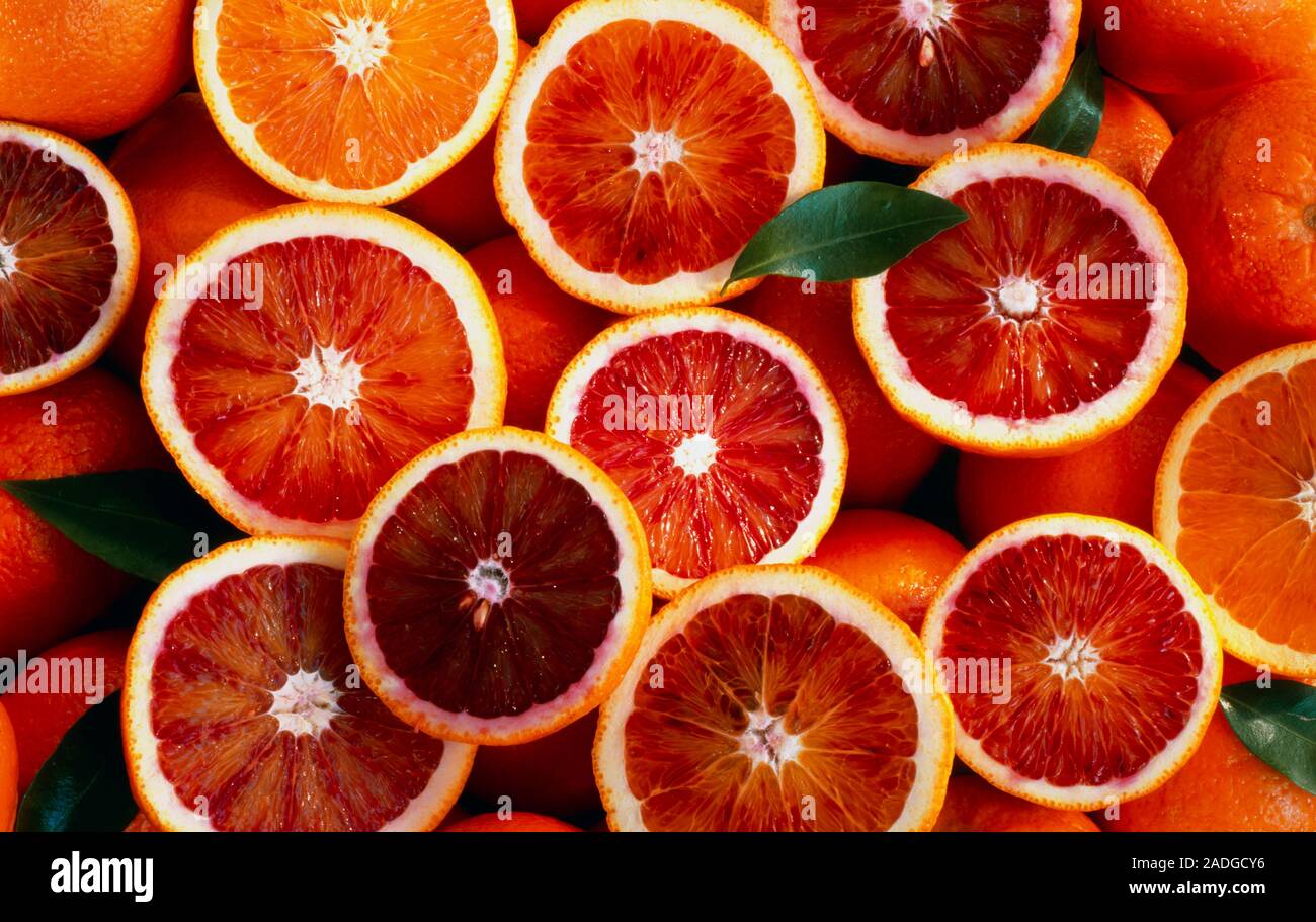 Blood oranges. View of several blood orange halves. Blood (or red ...