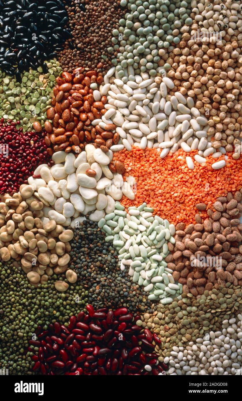 Beans and pulses. View of an assortment of beans and pulses. These ...