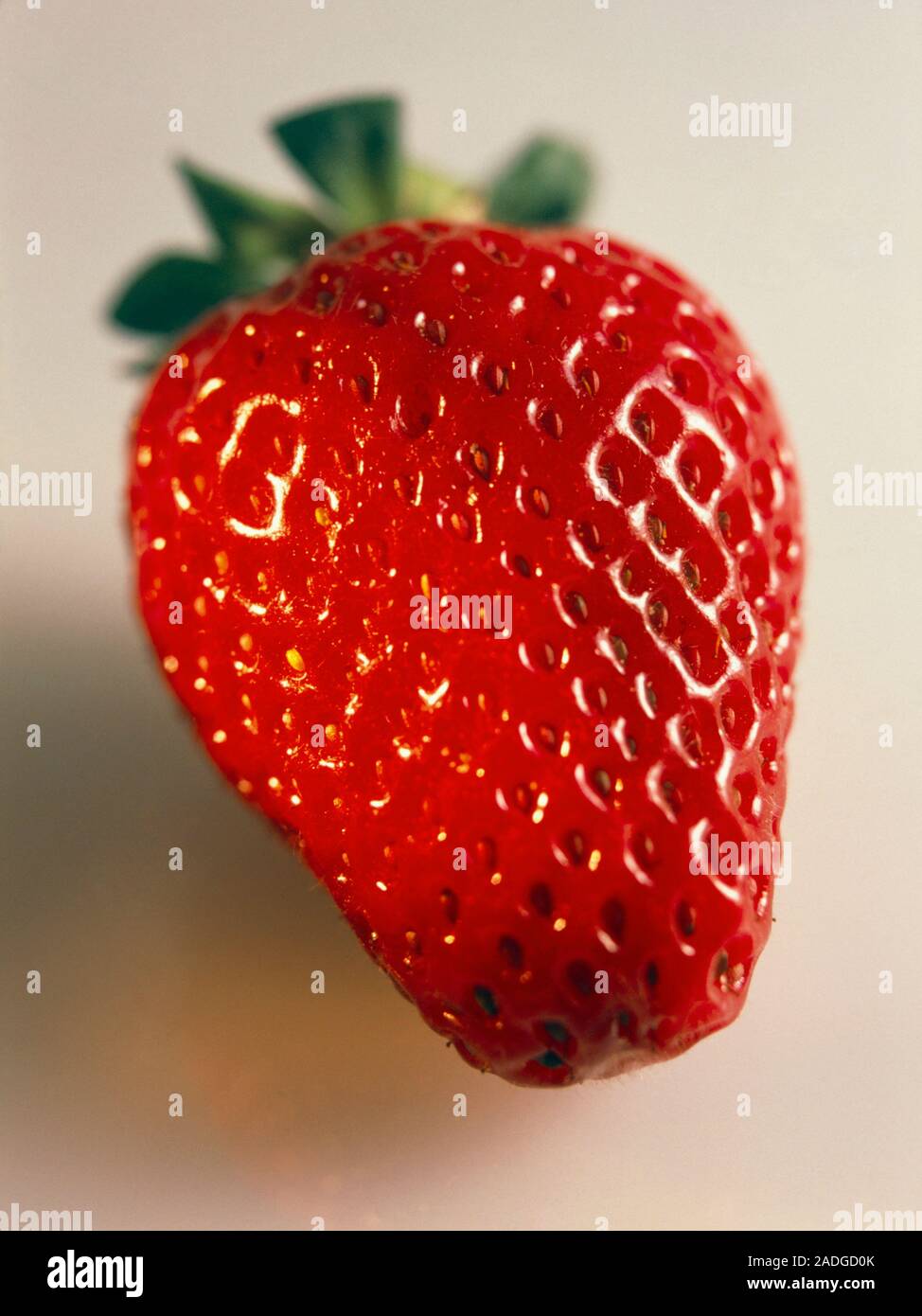 Strawberry. View of a ripe strawberry (Fragaria sp.). It is a false ...