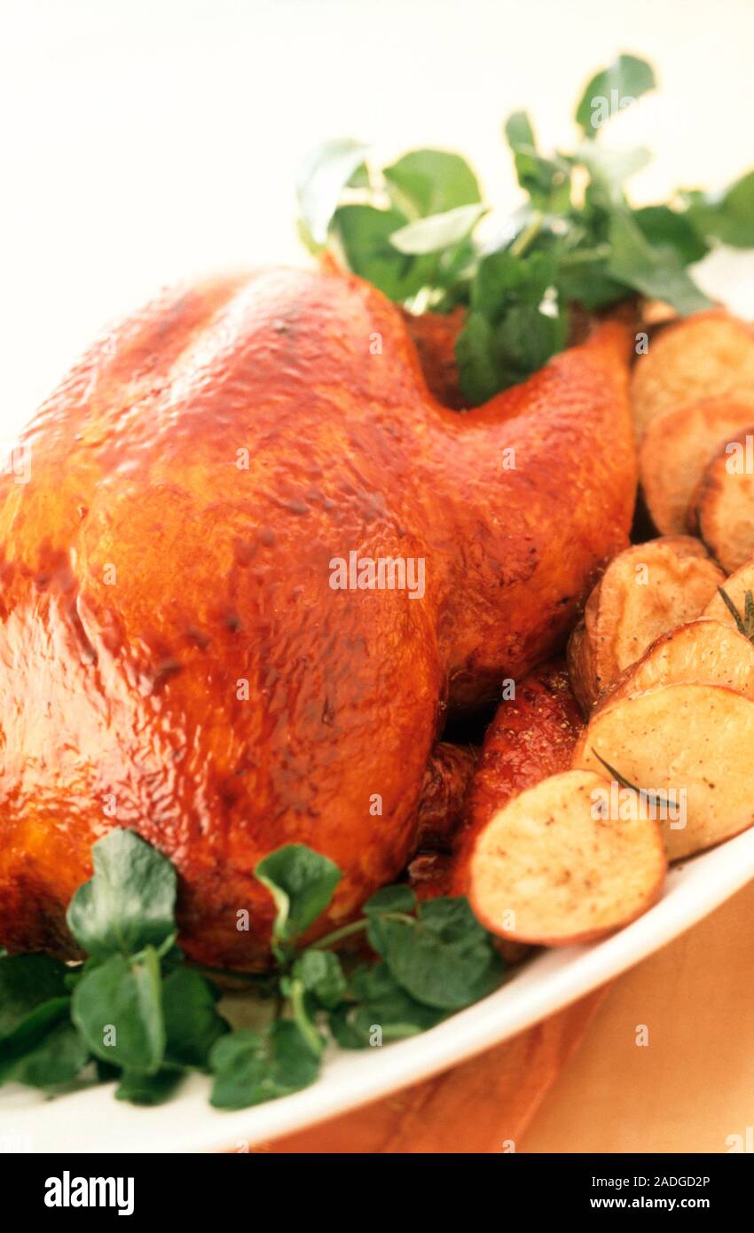 Cooked turkey. Cooked turkey served with roast potatoes. Turkeys ...