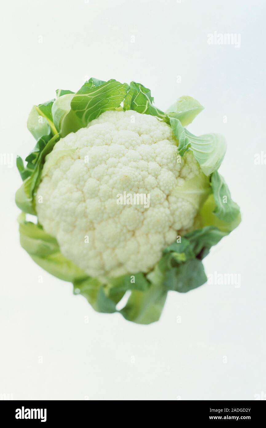 Cauliflower. Edible head of a cauliflower (Brassica oleracea botrytis ...