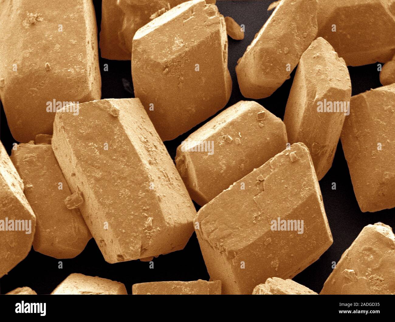 Sugar crystals. Coloured scanning electron micrograph (SEM) of crystals ...