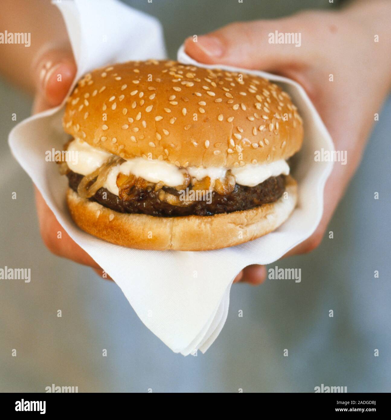 Burger. Hands holding a burger. Too much fatty food in the diet is ...