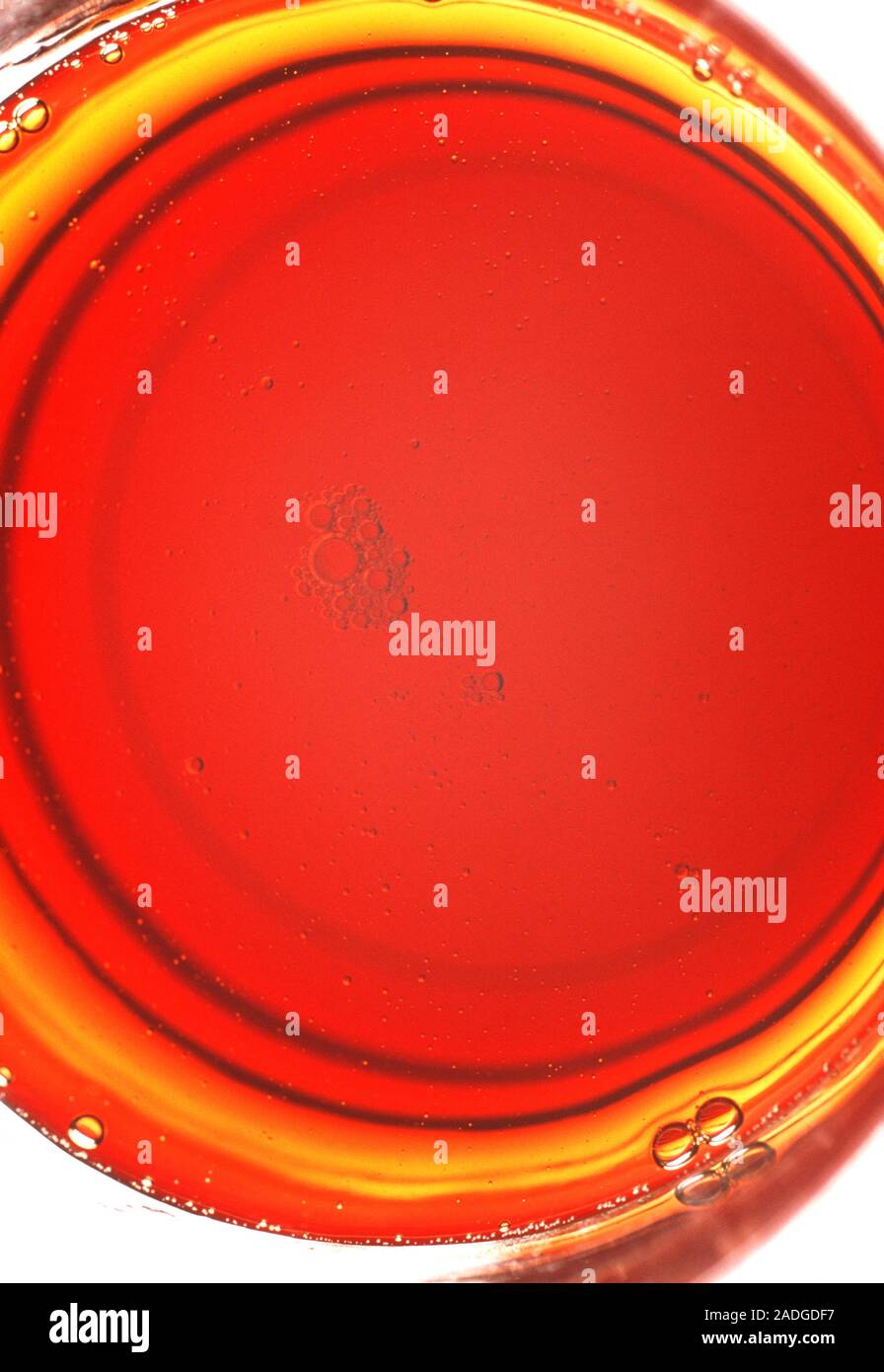 Maple syrup. This is the concentrated sap of the sugar maple tree (Acer ...