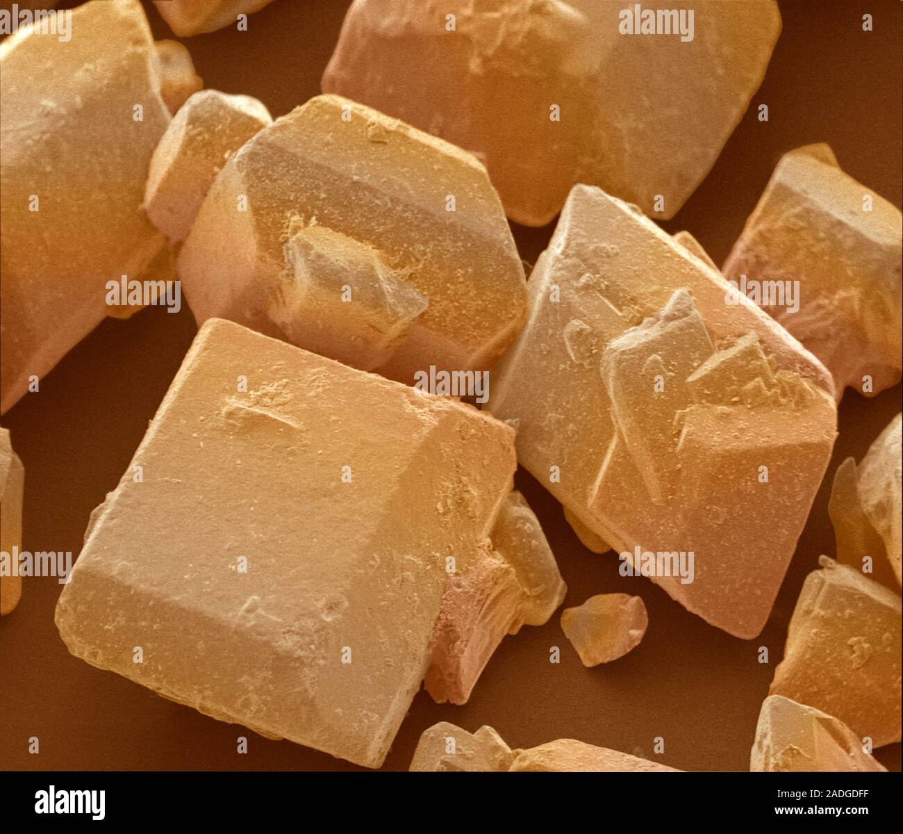 Sugar crystals. Coloured scanning electron micrograph (SEM) of crystals ...