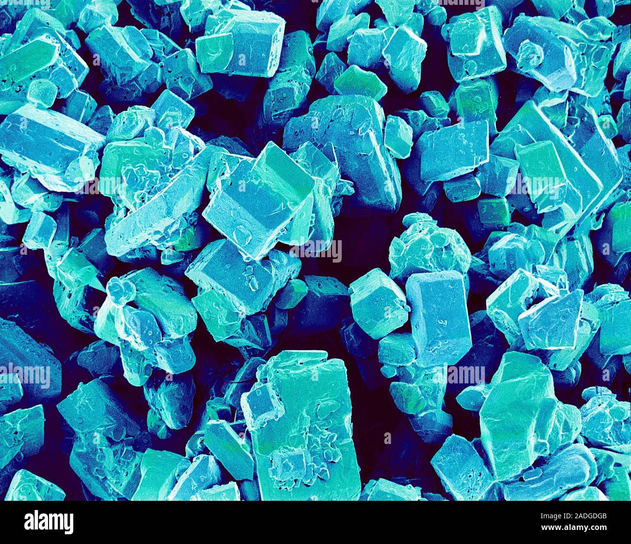 Sugar crystals. Coloured scanning electron micrograph (SEM) of crystals ...