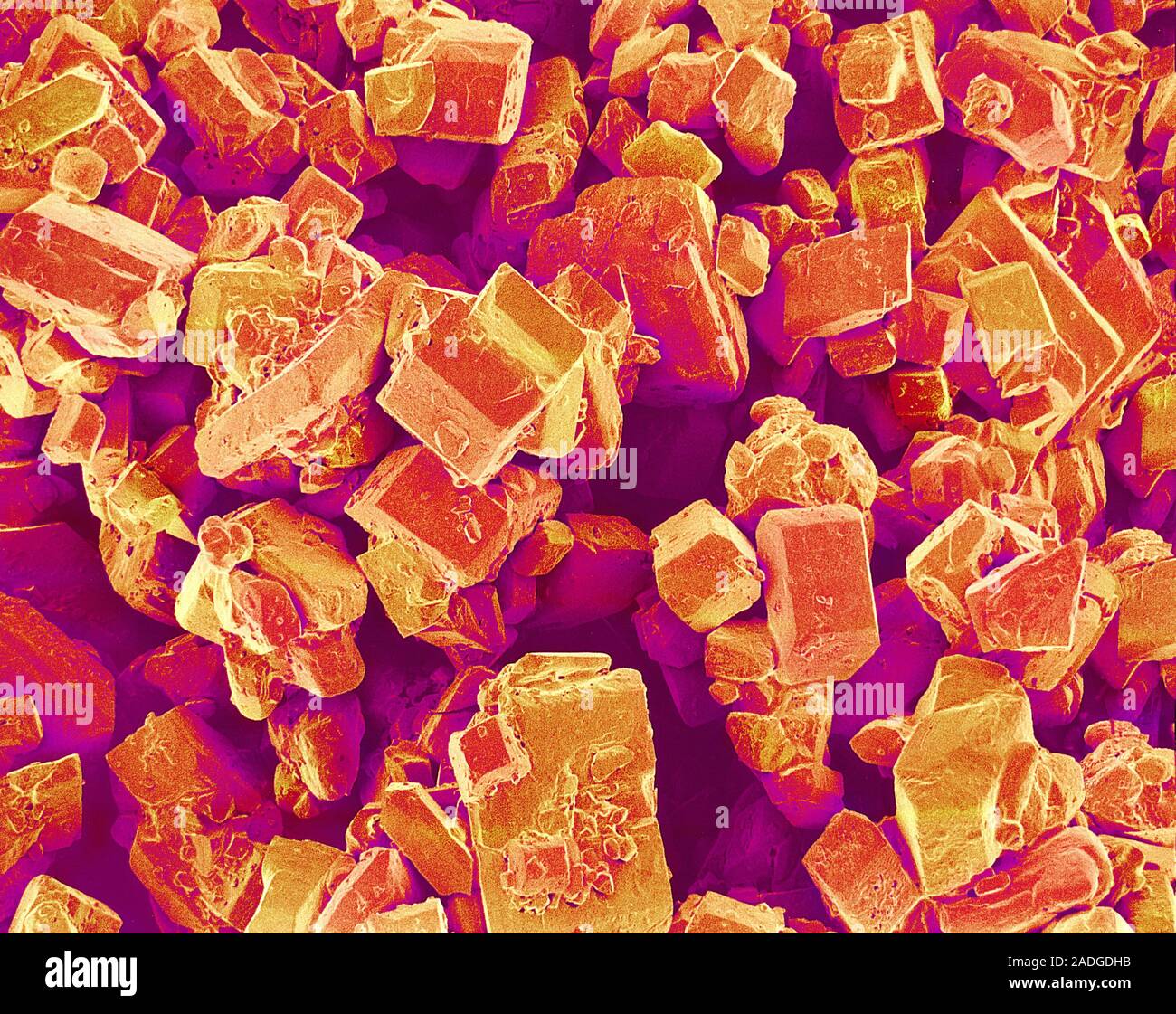 Sugar crystals. Coloured scanning electron micrograph (SEM) of crystals ...
