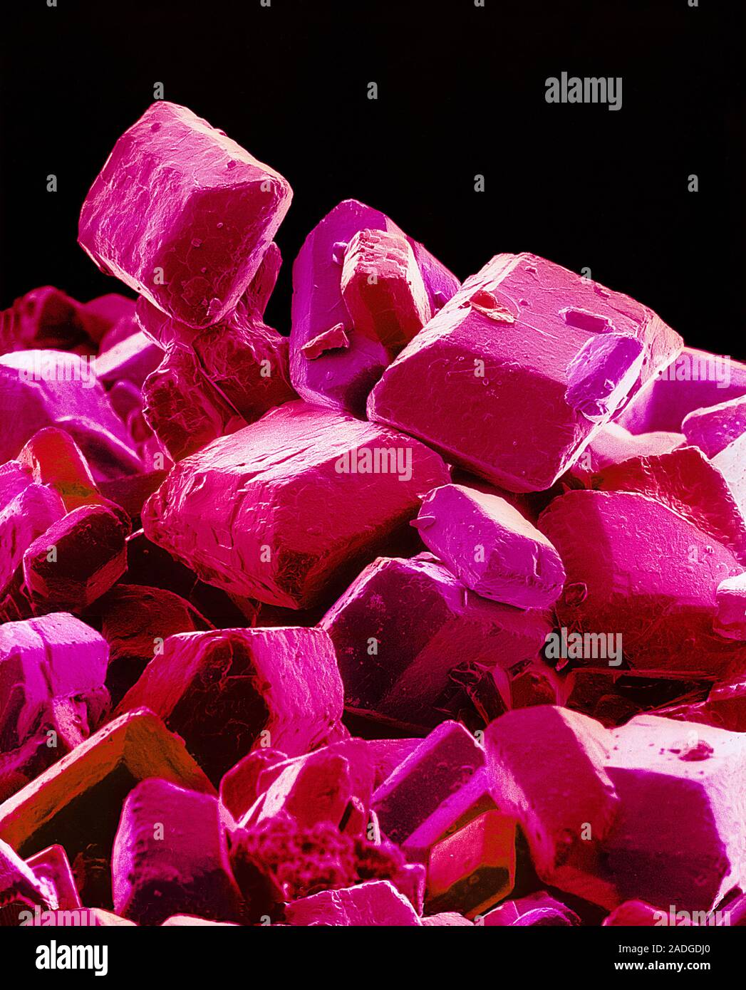 Sugar crystals. Coloured scanning electron micrograph (SEM) of a pile ...